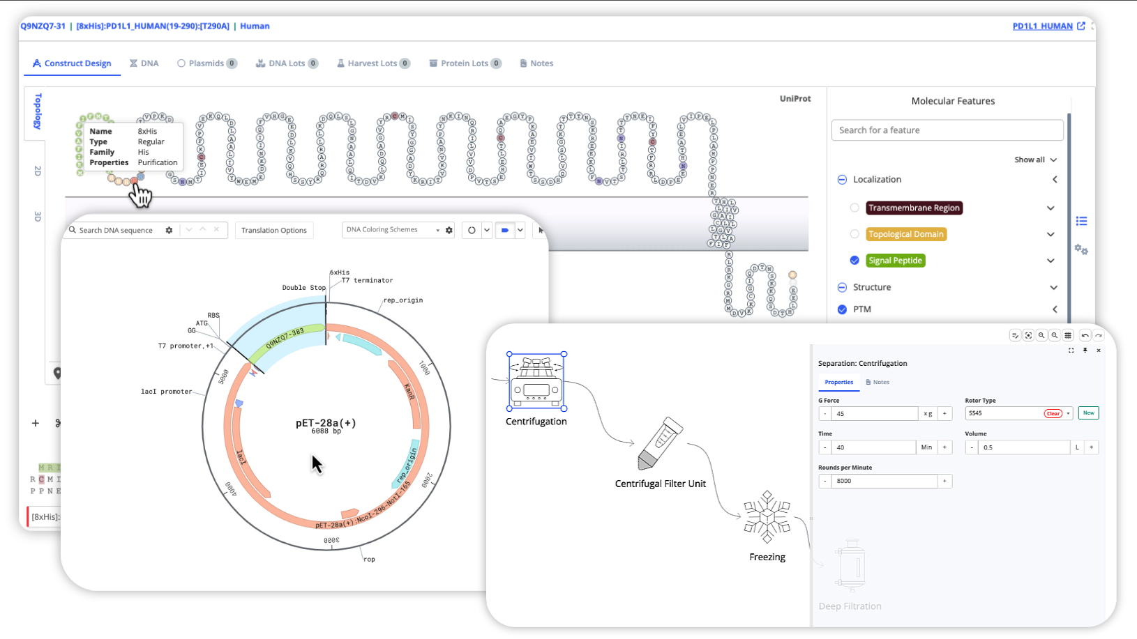Data and Sequence Visualization | Genophore